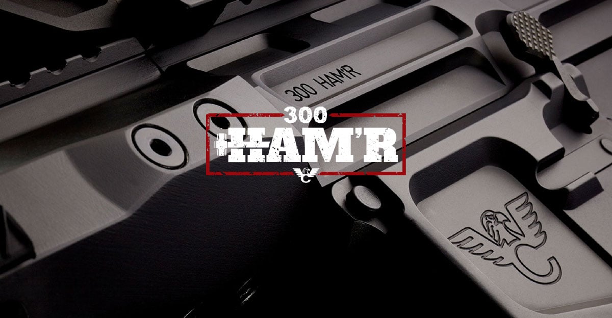 Wilson Combat Unleashes Another HAM'R - 300 HAM'R - AR Build Junkie